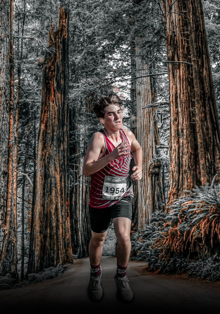 Saint Thomas Aquinas Falcon Cross Country Schedule 2024